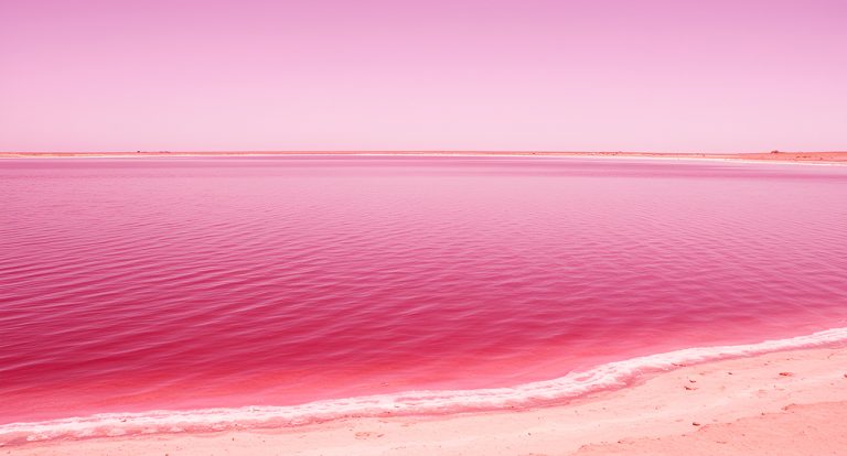 Accueil » Lieux emblématiques » Le Lac Rose (Lac Retba) : merveille ...